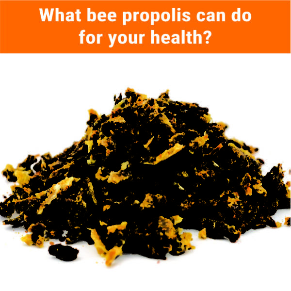 Propolis: What can bee propolis do for your health? – Navmi Foods